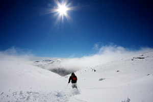 TRAVEL VICTORIA The Spring Fling Road Trip | Mountainwatch