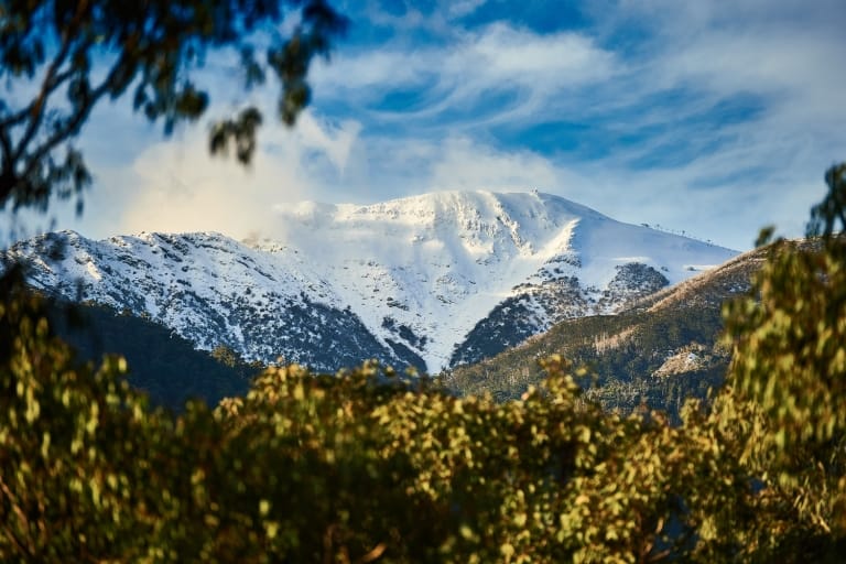 Mt Buller Ski Resort | Ski Resorts Australia | Mountainwatch