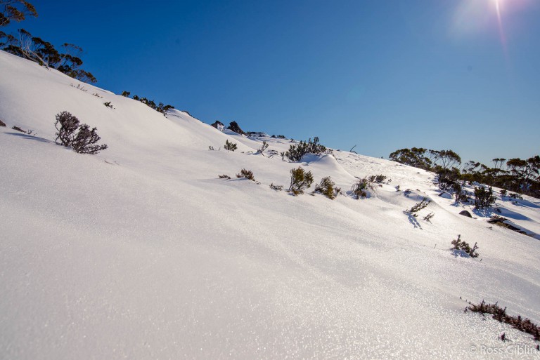 Mt Mawson Ski Resort | Ski Resorts Australia | Mountainwatch