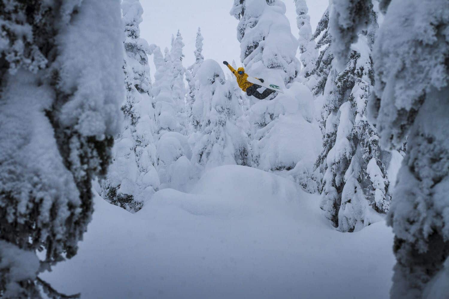 Fernie Ski Resort | British Columbia Ski Resorts | Mountainwatch