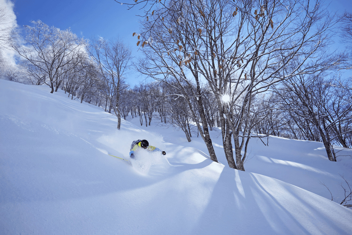 Nozawa Onsen Trail Map | Nozawa Onsen Map | Mountainwatch