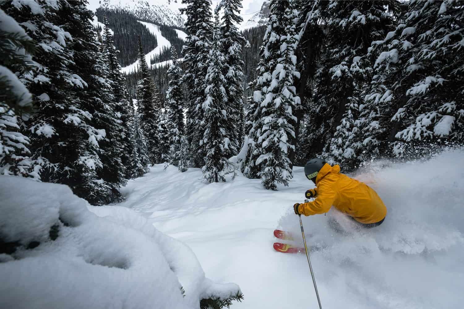 Sunshine Ski Resort | Canada Ski Resorts | Mountainwatch