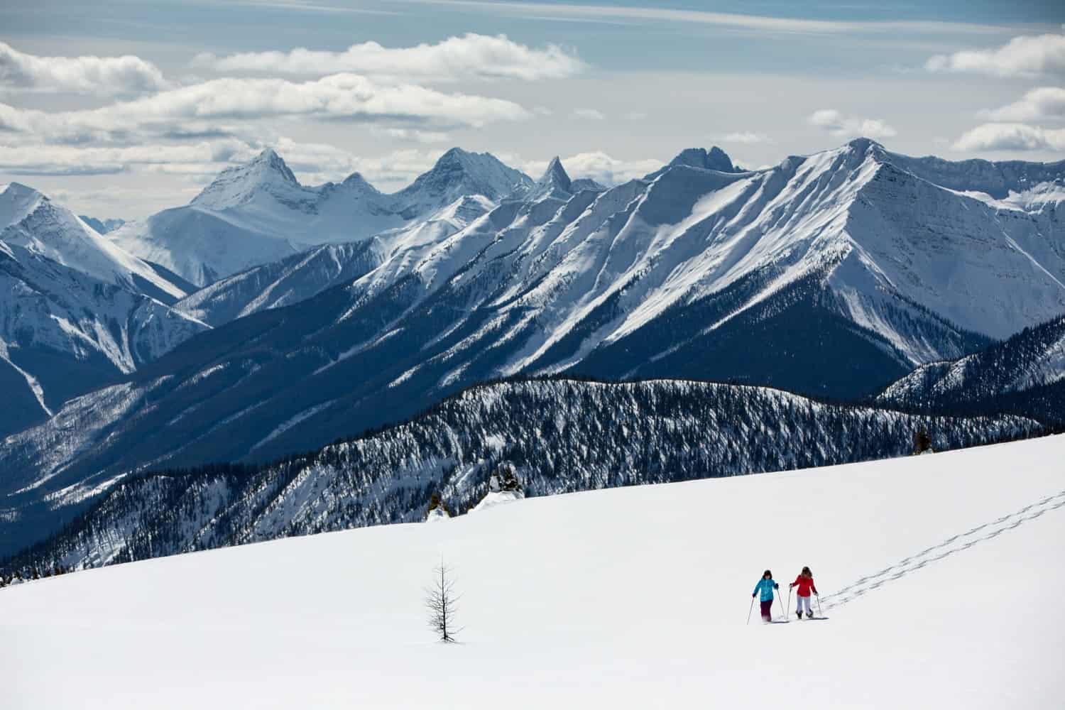 Sunshine Ski Resort | Canada Ski Resorts | Mountainwatch
