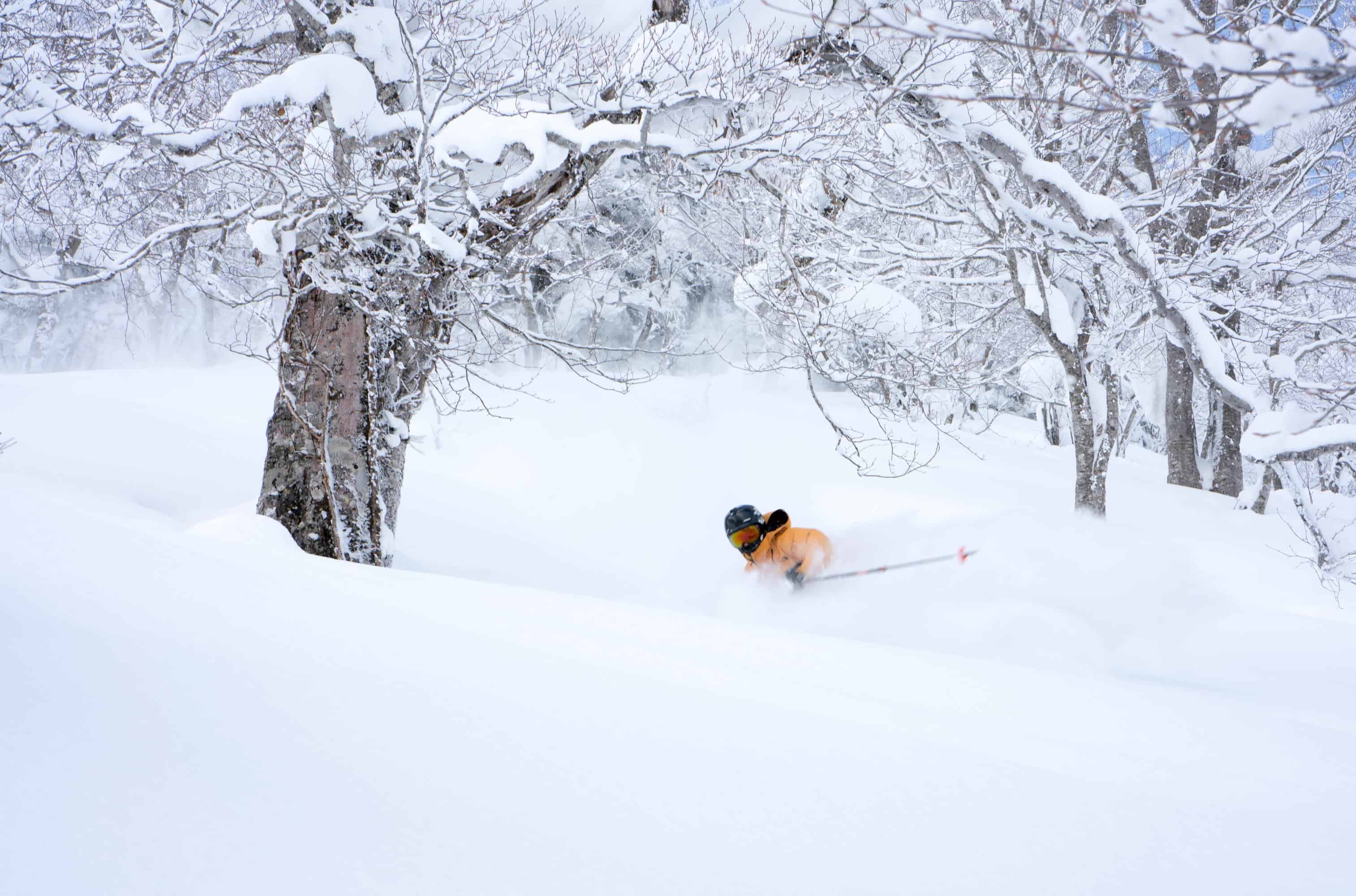 Appi Kogen Ski Resort | Skiing in Japan | Mountainwatch