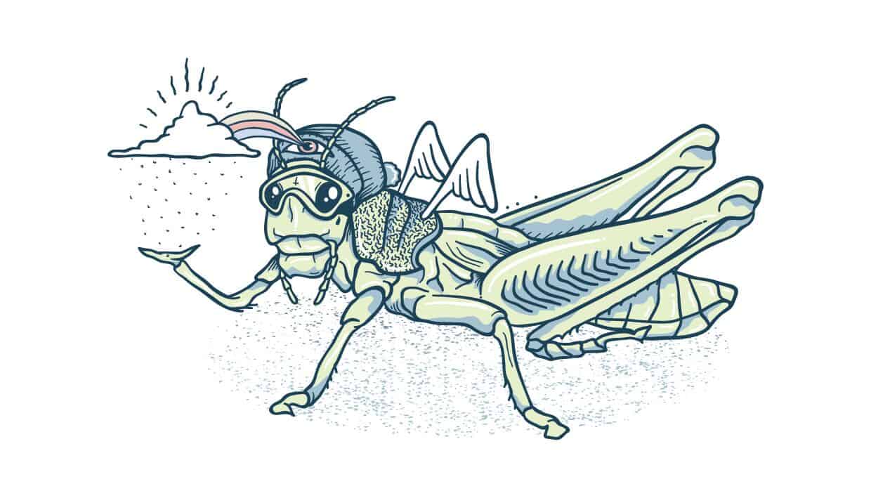 The Grasshopper | Ski News | Snow News | Mountainwatch