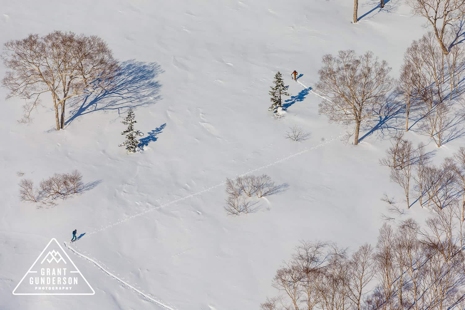 Mount Naeba | Mountainwatch