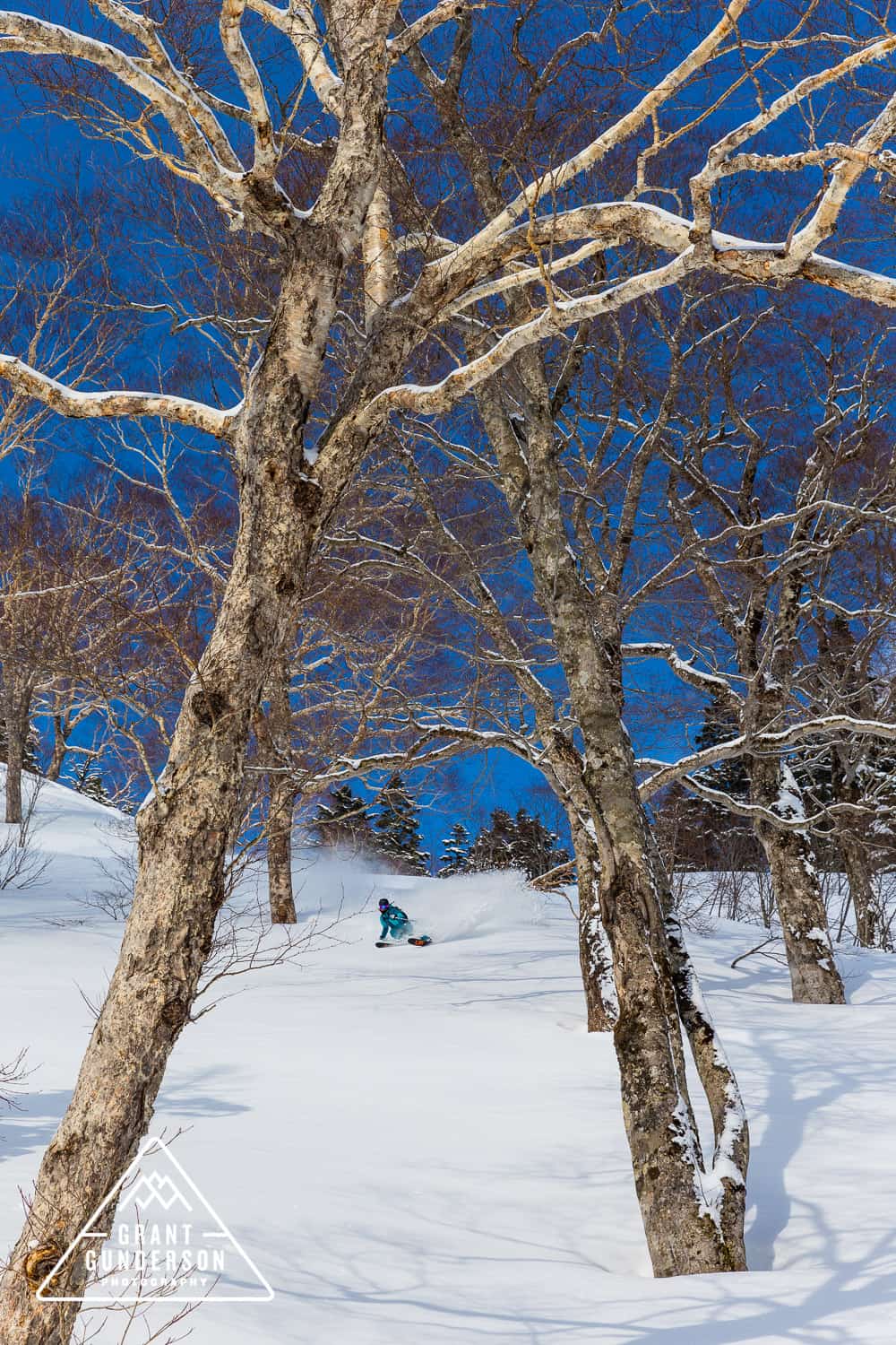 Mount Naeba | Mountainwatch