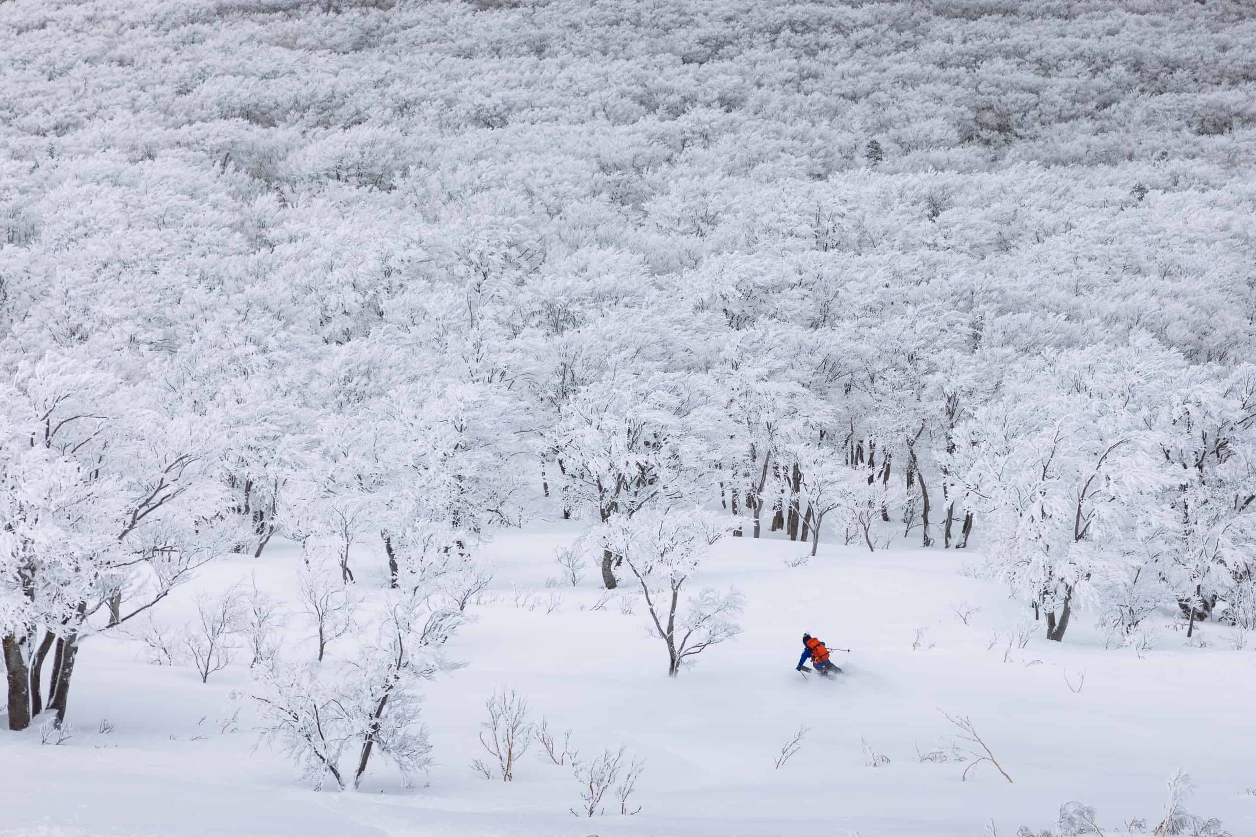 Hakkoda Ski Resort | Skiing in Japan | Mountainwatch
