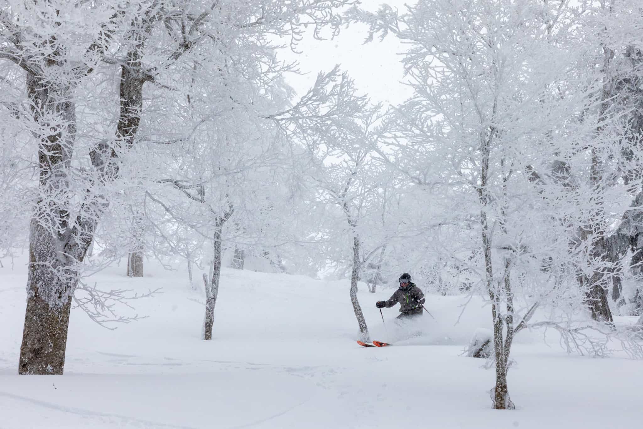 Tohoku – Honshu's Northern Region, Deep Snow and Small Crowds ...