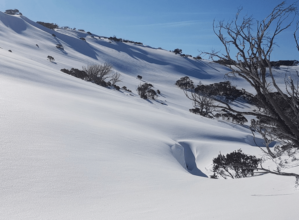 Backcountry Awareness - A Few Tips For When You Go Beyond The ...