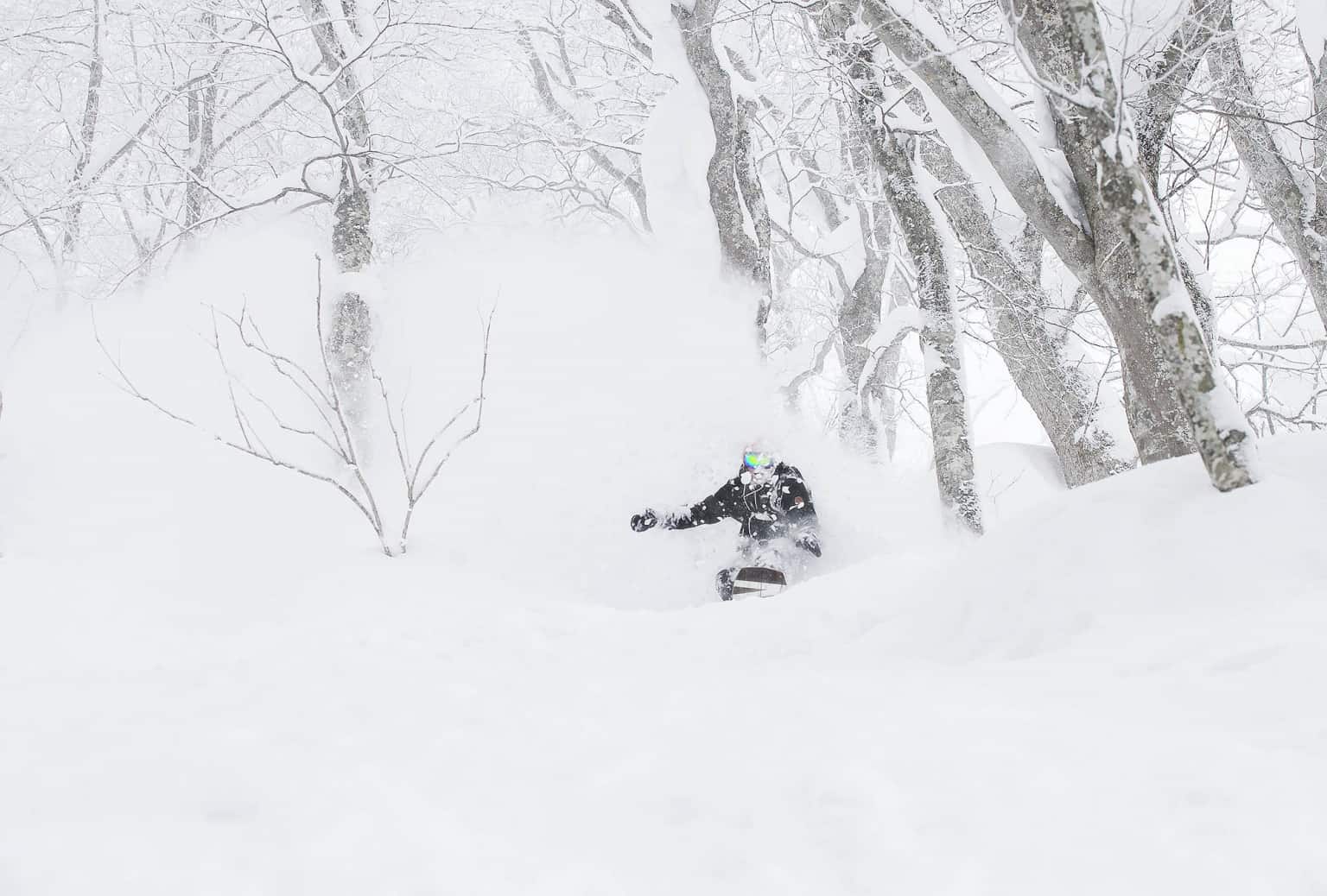 2020-2021 Japanese Snow Season Outlook | Mountainwatch