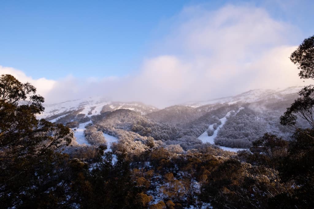 Short…But Oh So Sweet | Thredbo Winter 21 Season Highlights. Press Release | Mountainwatch