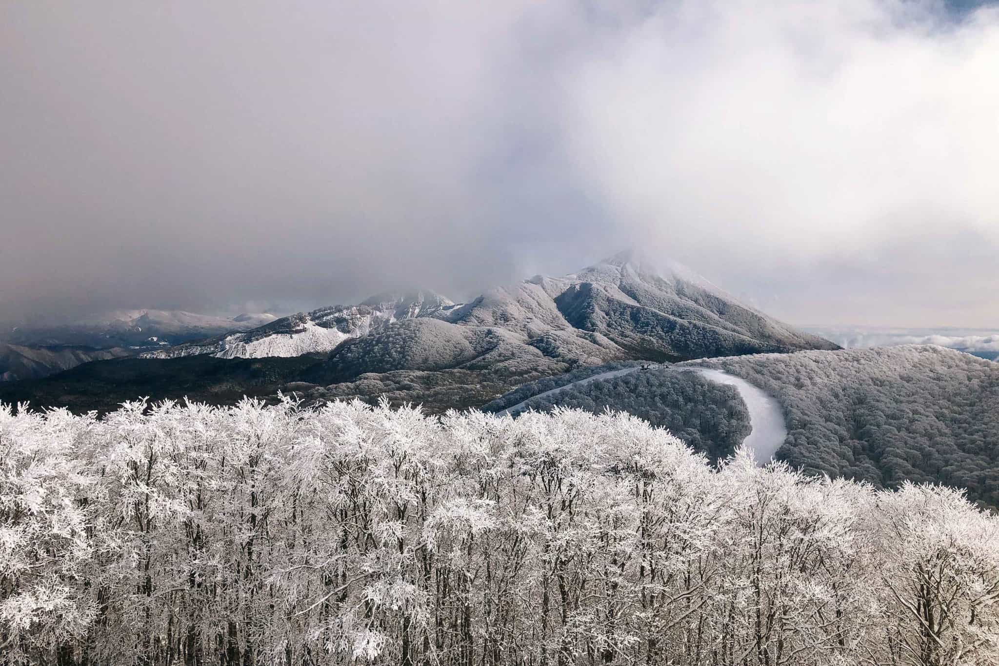 Exploring The Deep Snow Destinations of Japan’s Tohoku Region ...