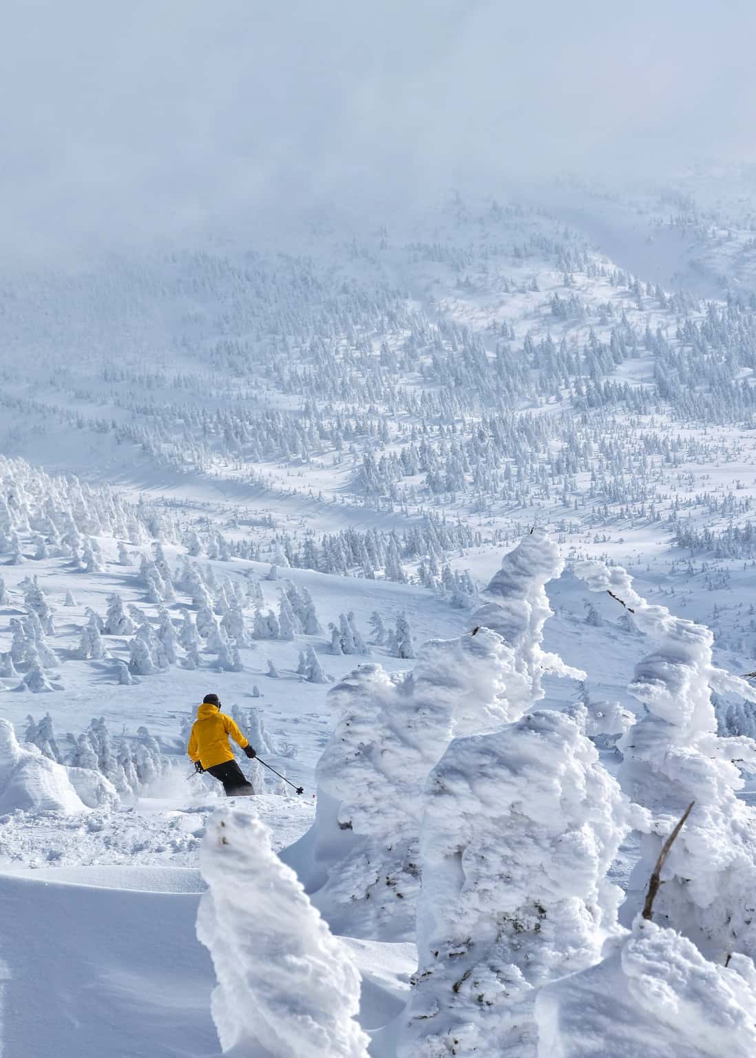 Tohoku – Honshu’s Northern Region, Deep Snow and Small Crowds ...