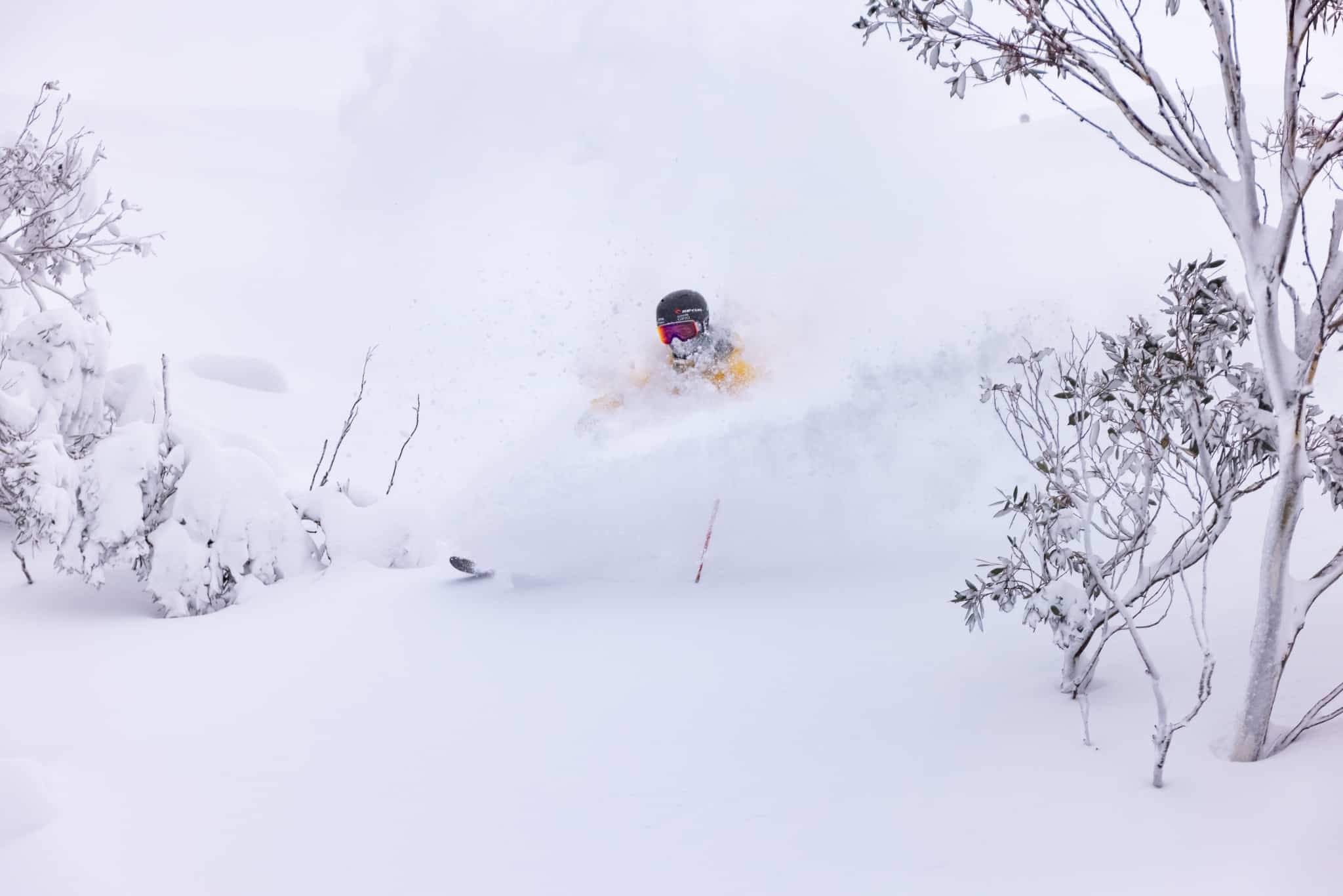 Thredbo Announces 2022 Season Offerings | Mountainwatch