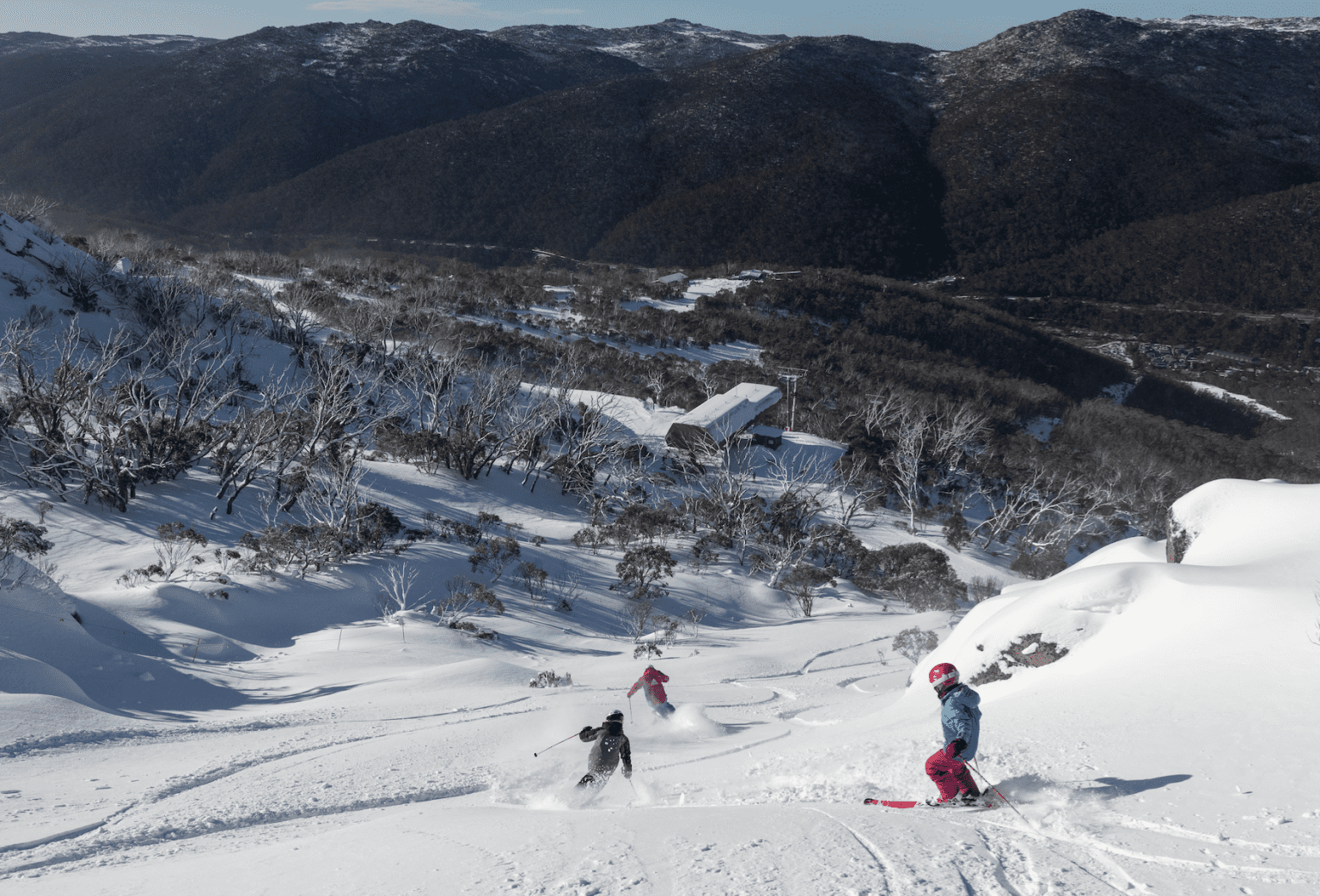 Thredbo Announces 2022 Season Offerings | Mountainwatch