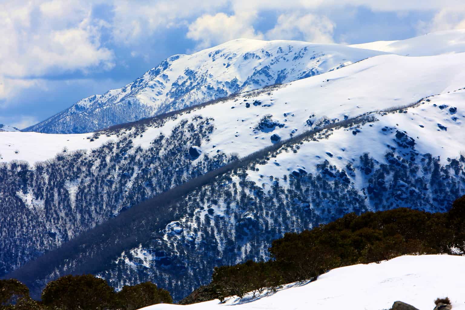 Bogong's West Side - A Day Trip to Victoria's Highest Peak | Mountainwatch