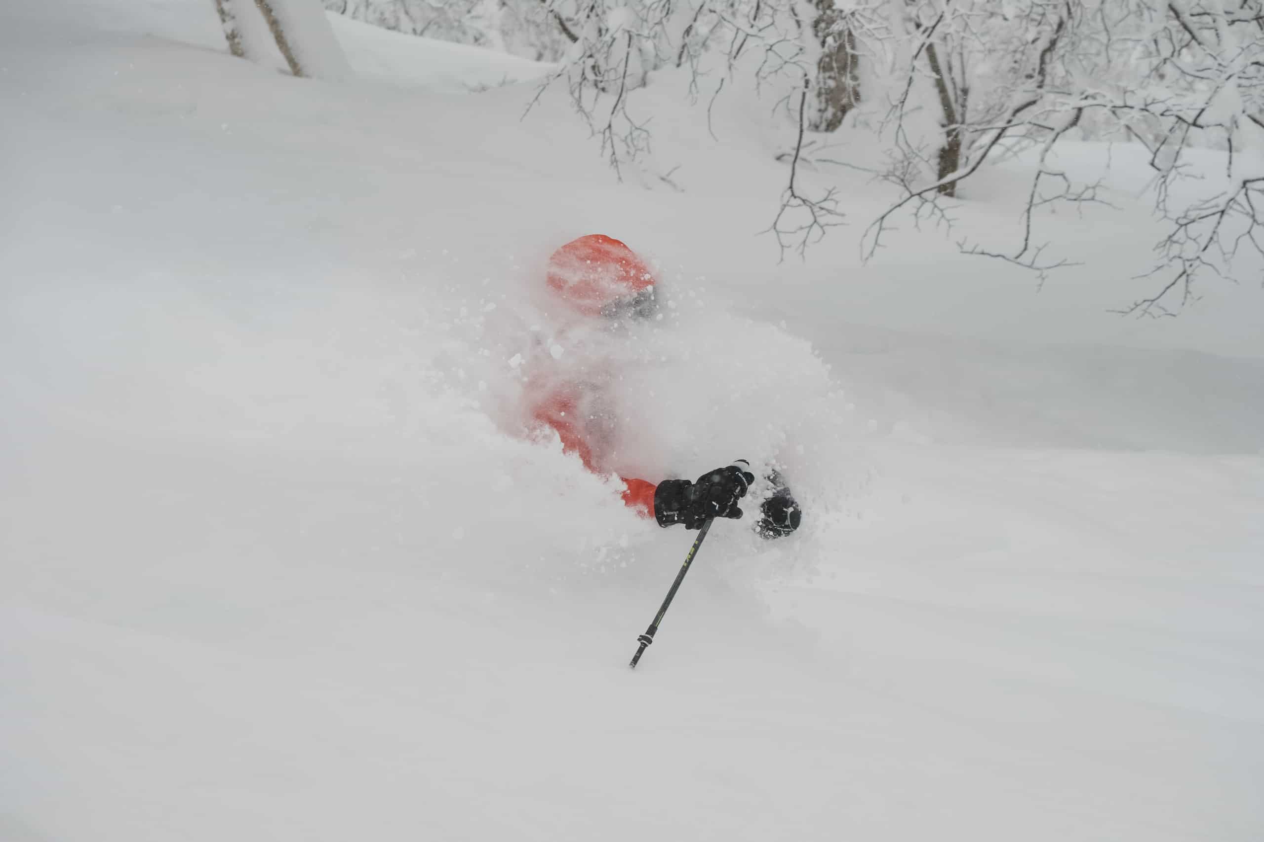 World Snow Wrap, January 5 – Deep Powder days in Japan and the US ...