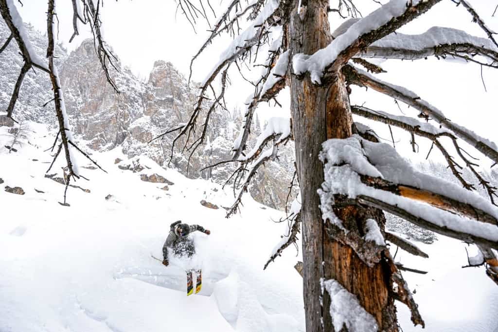 Postcard from Jackson Hole | Mountainwatch