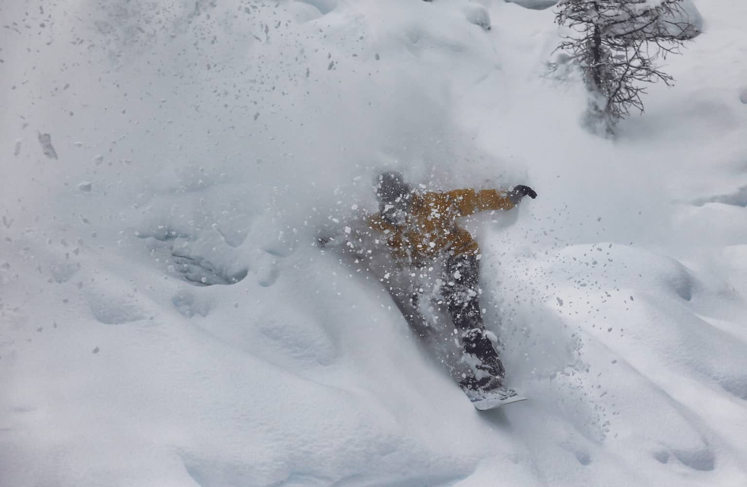 2024-2025 North American Snow Season Outlook - MountainWatch Travel