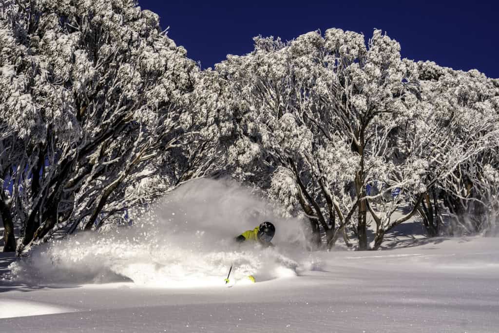 Grasshopper's 2024 Australian Snow Season Outlook - Potential La Niña ...