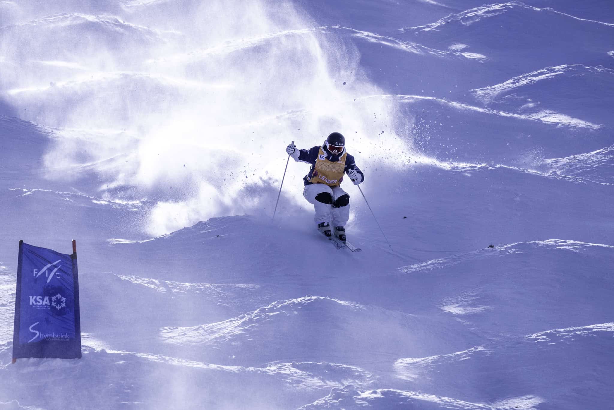 Australian Team for 2025 FIS Snowboard, Freestyle & Freeski World ...