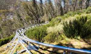 Thredbo’s New Alpine Coaster Offers an Adrenalin Pumping and Fun On ...