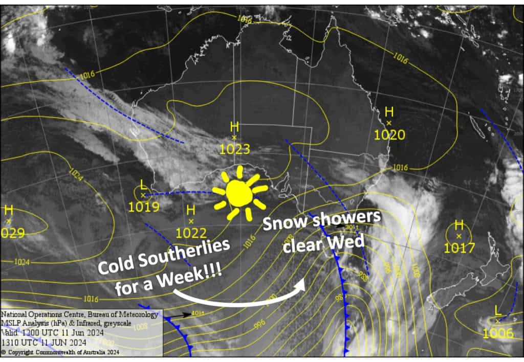 The Grasshopper | Ski News | Snow News | Mountainwatch