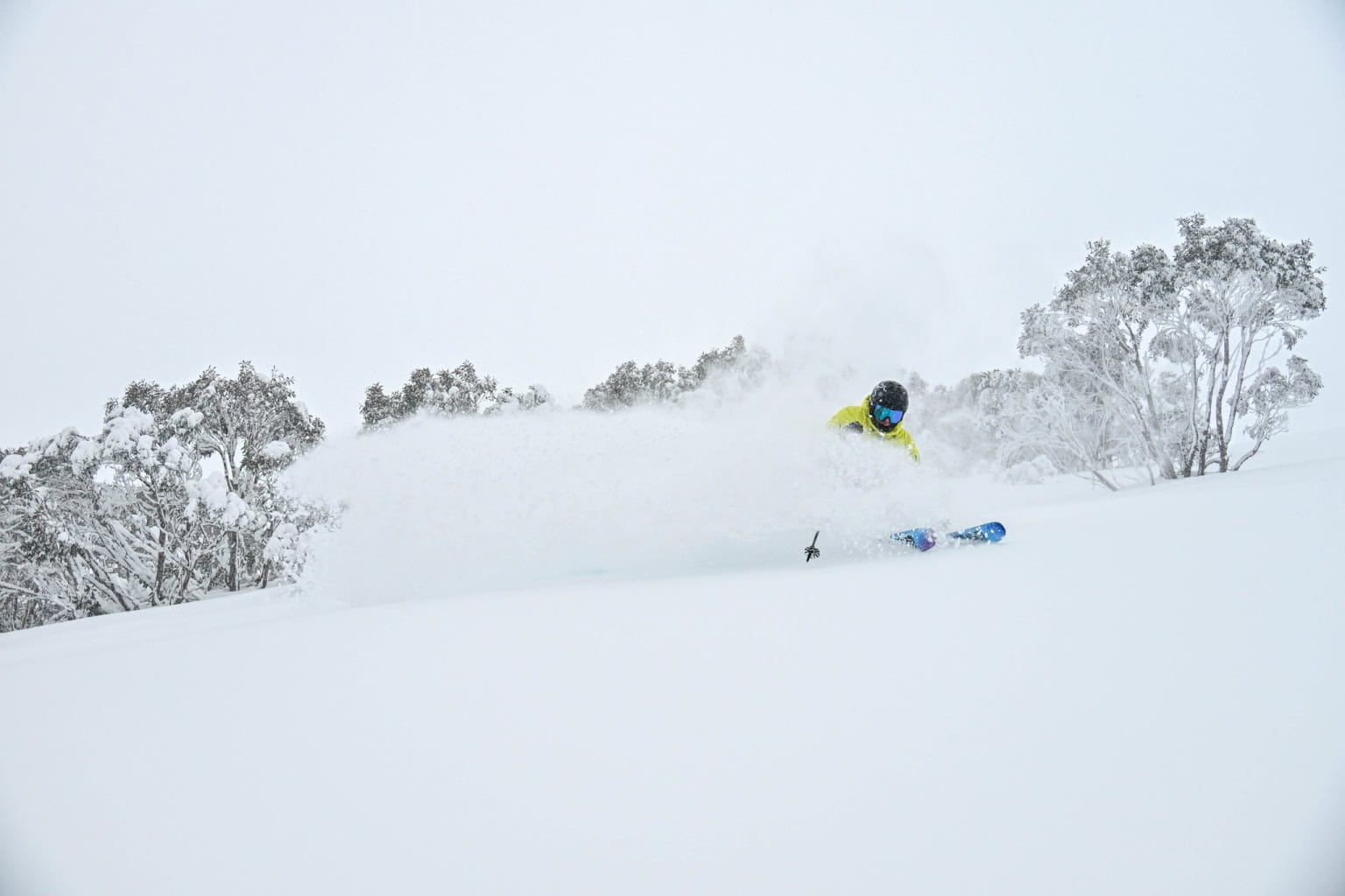 Grasshopper's 2024 Australian Snow Season Outlook, July Update - Sudden ...