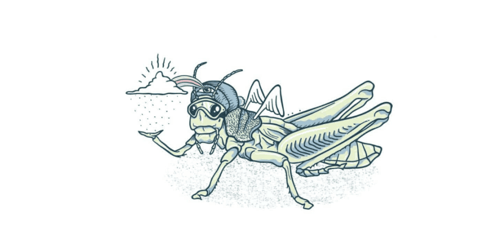Mt Stirling Weather | Mt Stirling Snow Forecast | Mountainwatch