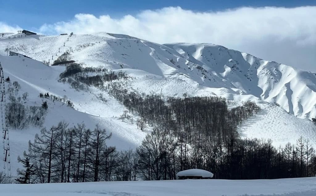 Myoko Kogen Ski Resort | Skiing in Japan | Mountainwatch