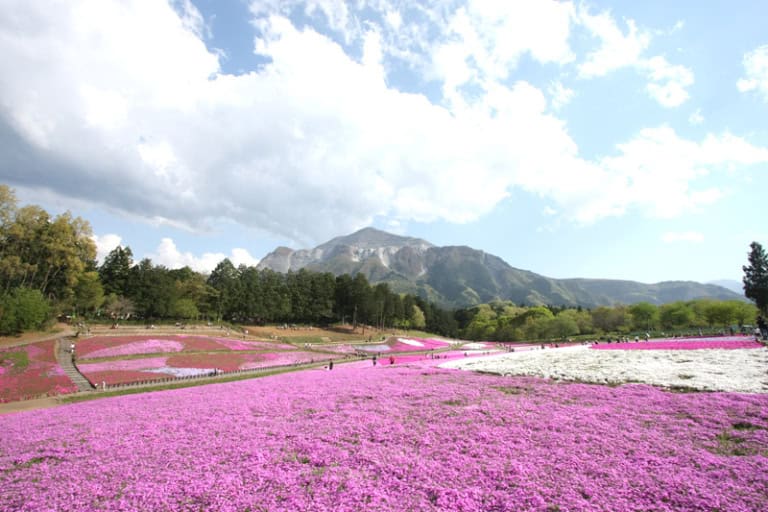 Chichibu, Saitama: A natural escape just 80 minutes from Tokyo. Travel ...