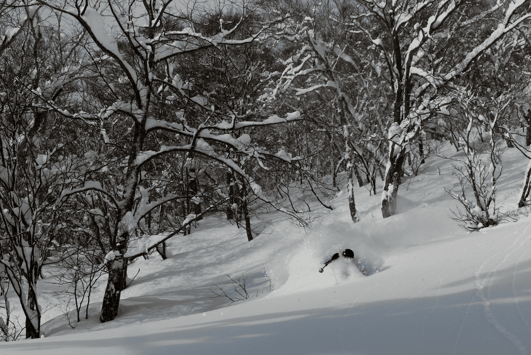 Palisades Tahoe Trail Map | Squaw Valley Alpine Meadows Map | Squaw ...