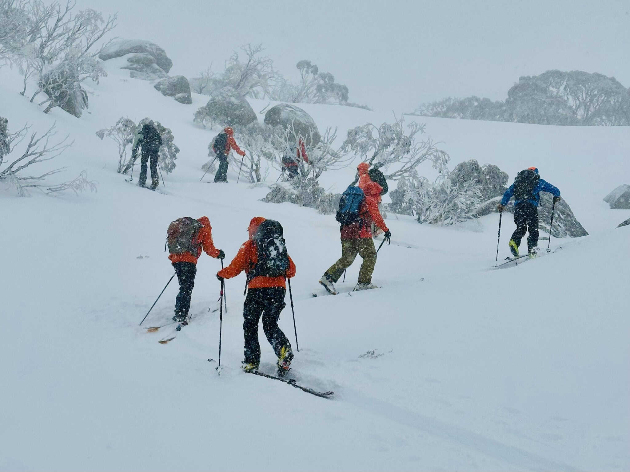 Mt Baw Baw Trail Map | Mt Baw Baw Map | Mountainwatch
