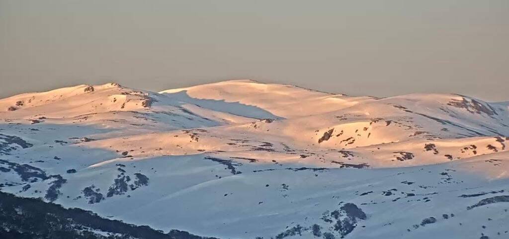 Cardrona Trail Map | Cardrona Map | Mountainwatch