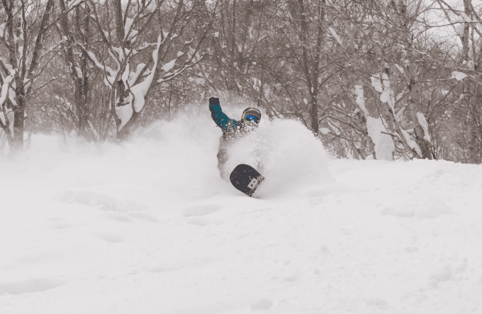 Grasshopper's Japan 2025/26 Snow Season Outlook, November Update ...