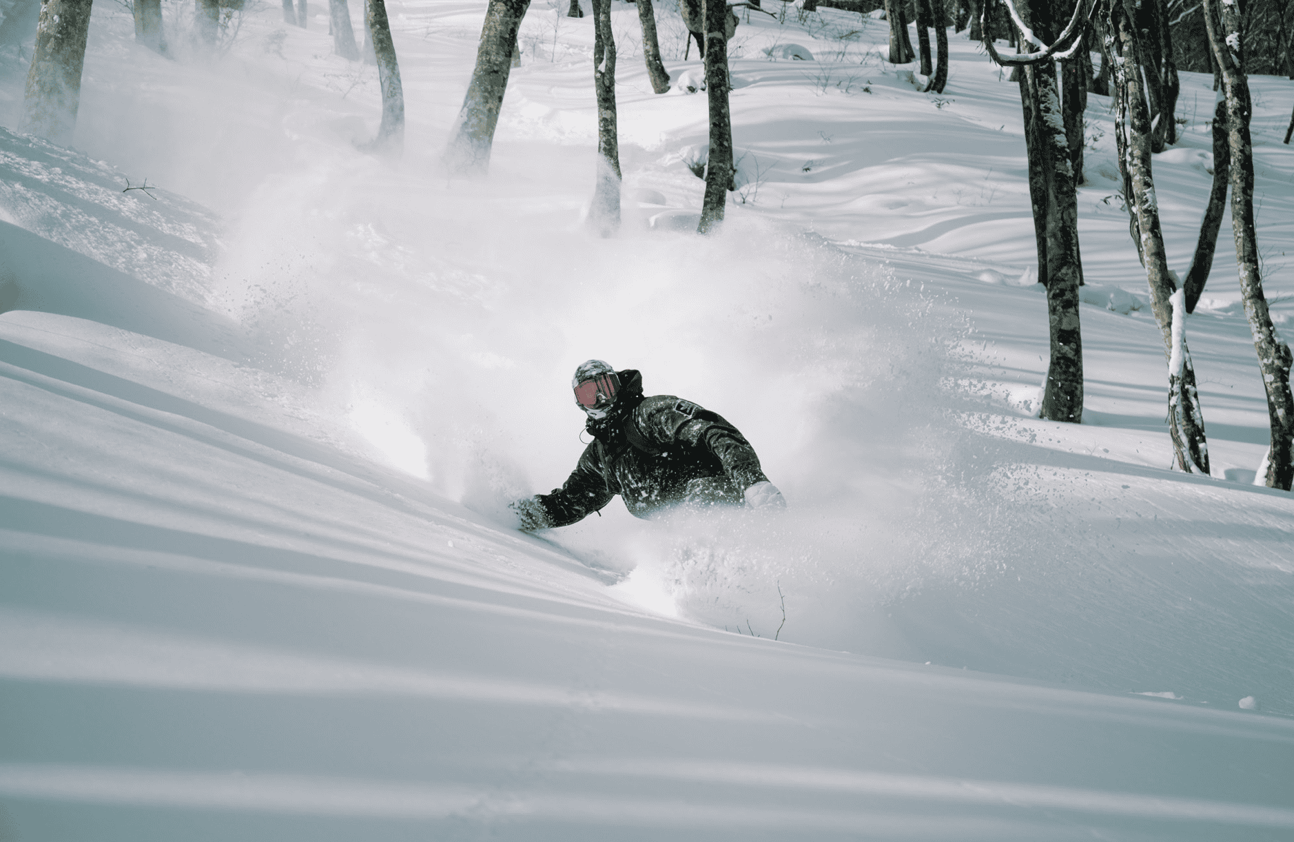 Chasing Powder in Japan by Train | Mountainwatch