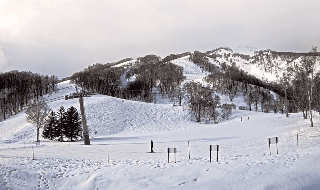 Perisher Trail Map | Perisher Map | Mountainwatch