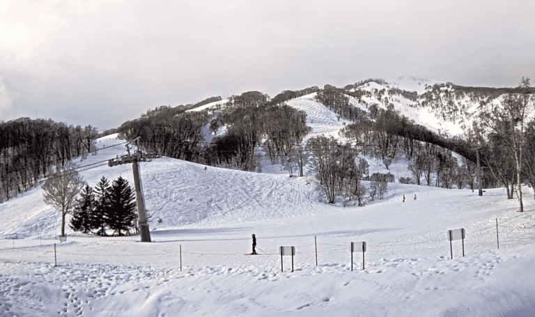 Perisher Trail Map | Perisher Map | Mountainwatch
